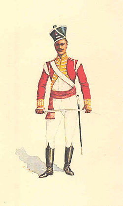 Bengal Native Infantry - Bharatpedia